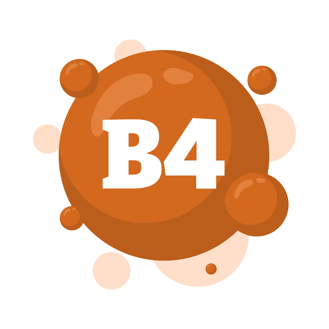 Choline (B4) - why the body needs it, what it contains, how to choose ...