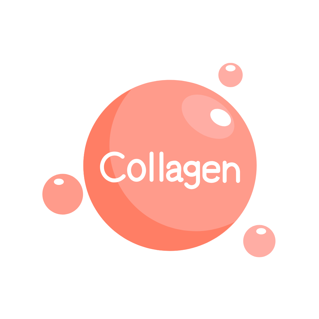 Collagen type I - why the body needs it, what it contains, how to ...