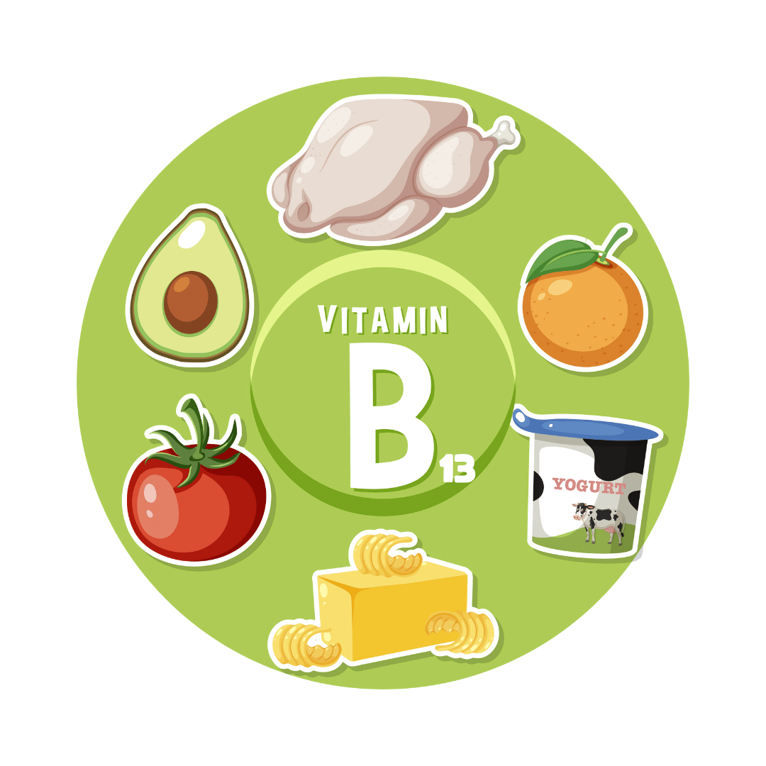 Orotic acid (B13) - why the body needs it, what it contains, how to ...