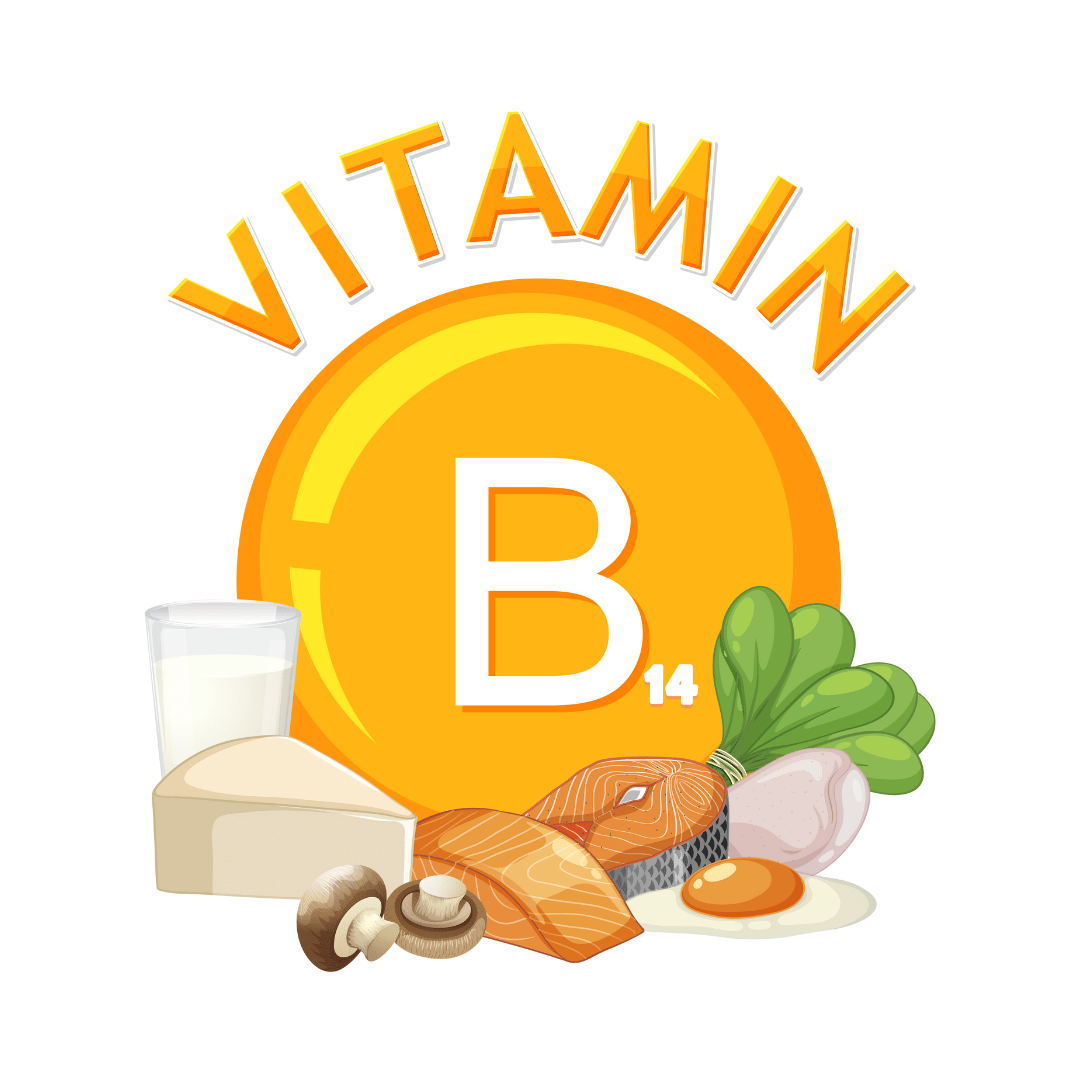 Pyrroloquinolinequinone (B14) - why the body needs, what it contains ...