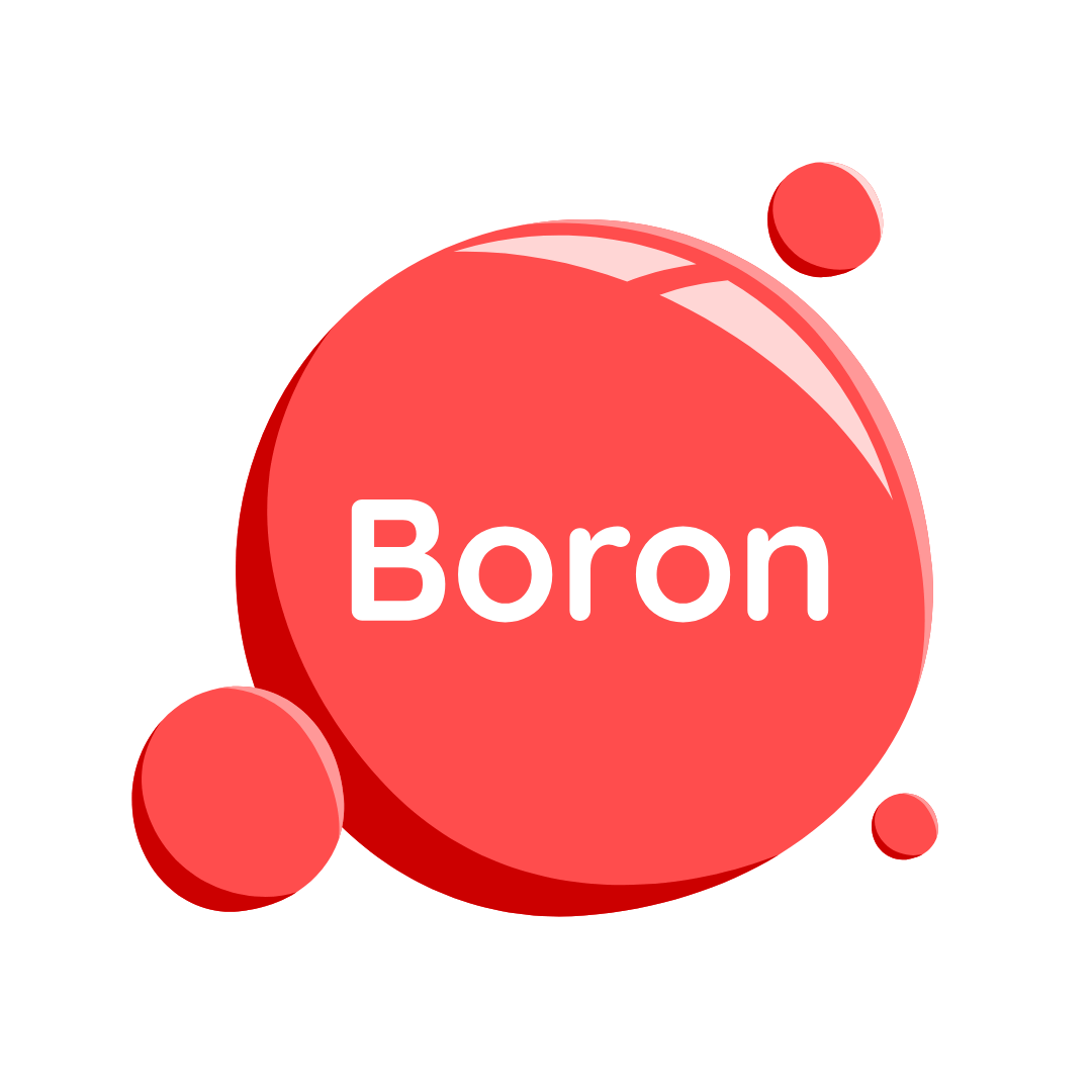 Boron - why the body needs it, what it contains, how to choose the form